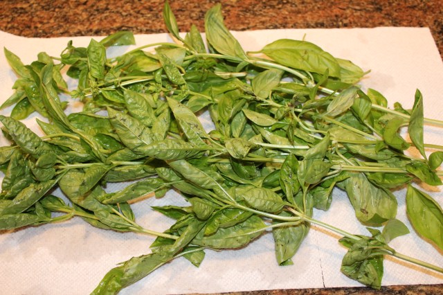 Kel’s Incredibly Delicious and Easy Basil, Garlic and Parmesan Butter ...