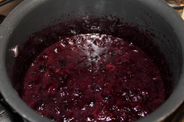 Sous Vide Duck Breasts with Blueberry-Citrus Port Wine Sauce | Kel's ...